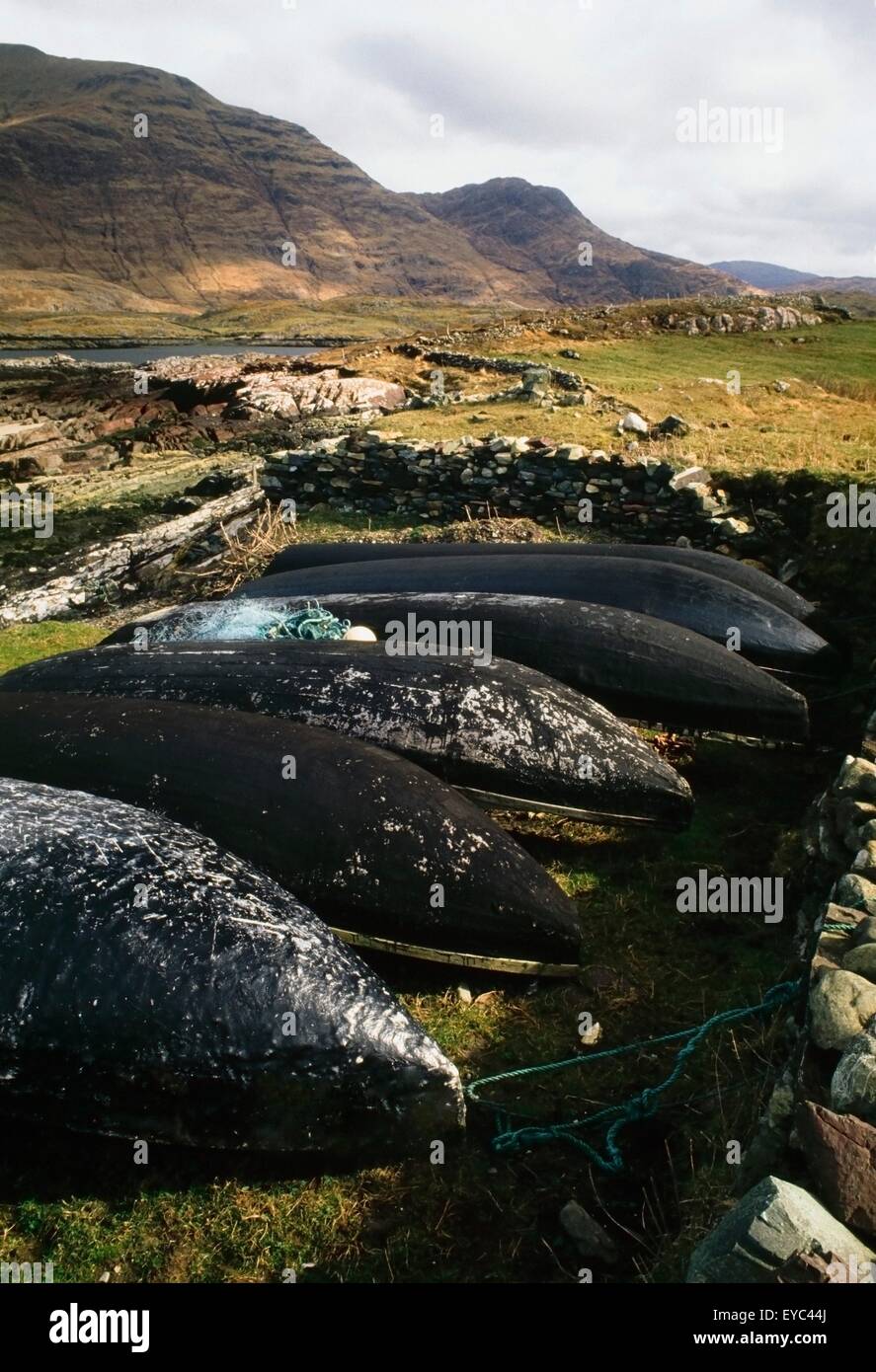 Killary Harbour, Co Galway, Ireland; Traditional Currachs Stock Photo ...