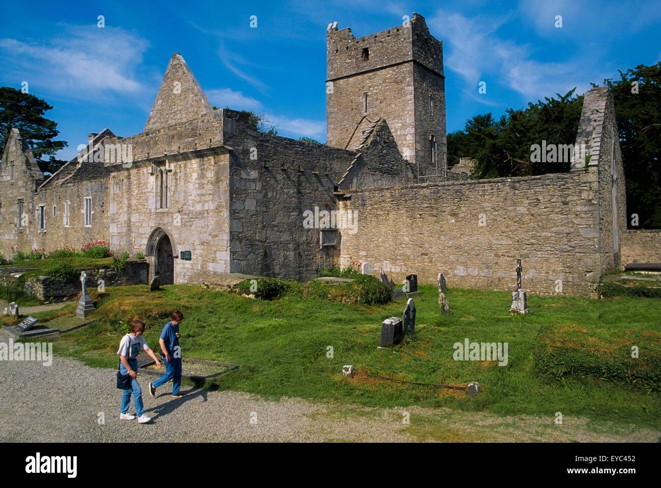 Muckross Abbey, Killarney, Co Kerry, Ireland; 15Th Century Franciscan ...