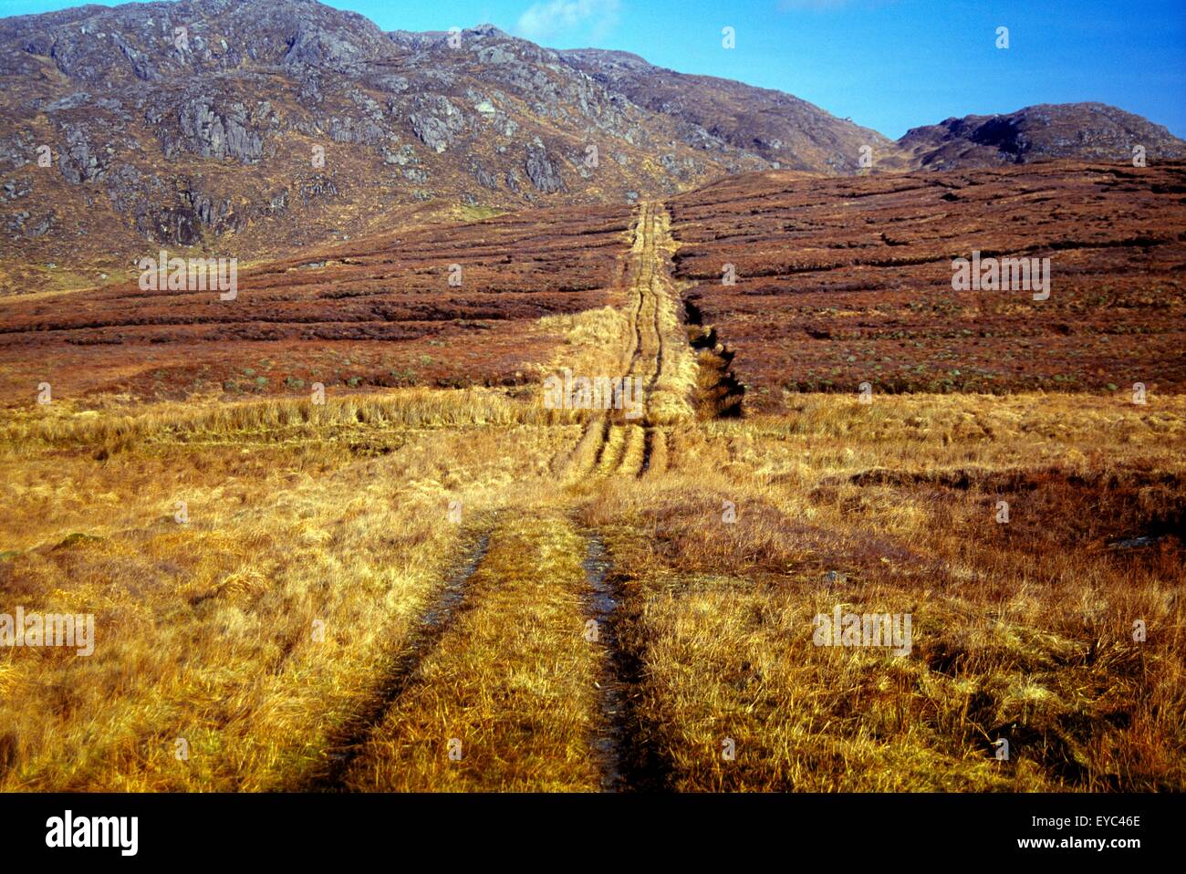 Bluestack Way, Banagher Hill, County Donegal, Ireland; Tracks Through ...