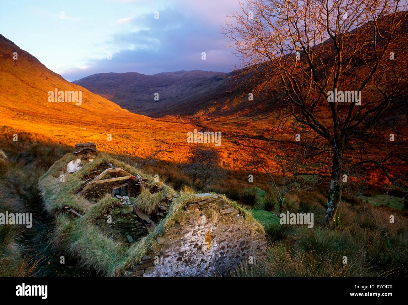 Cottage ruins hi-res stock photography and images - Alamy