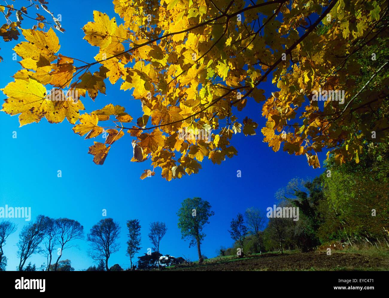 Ards peninsula county donegal ireland hi-res stock photography and ...