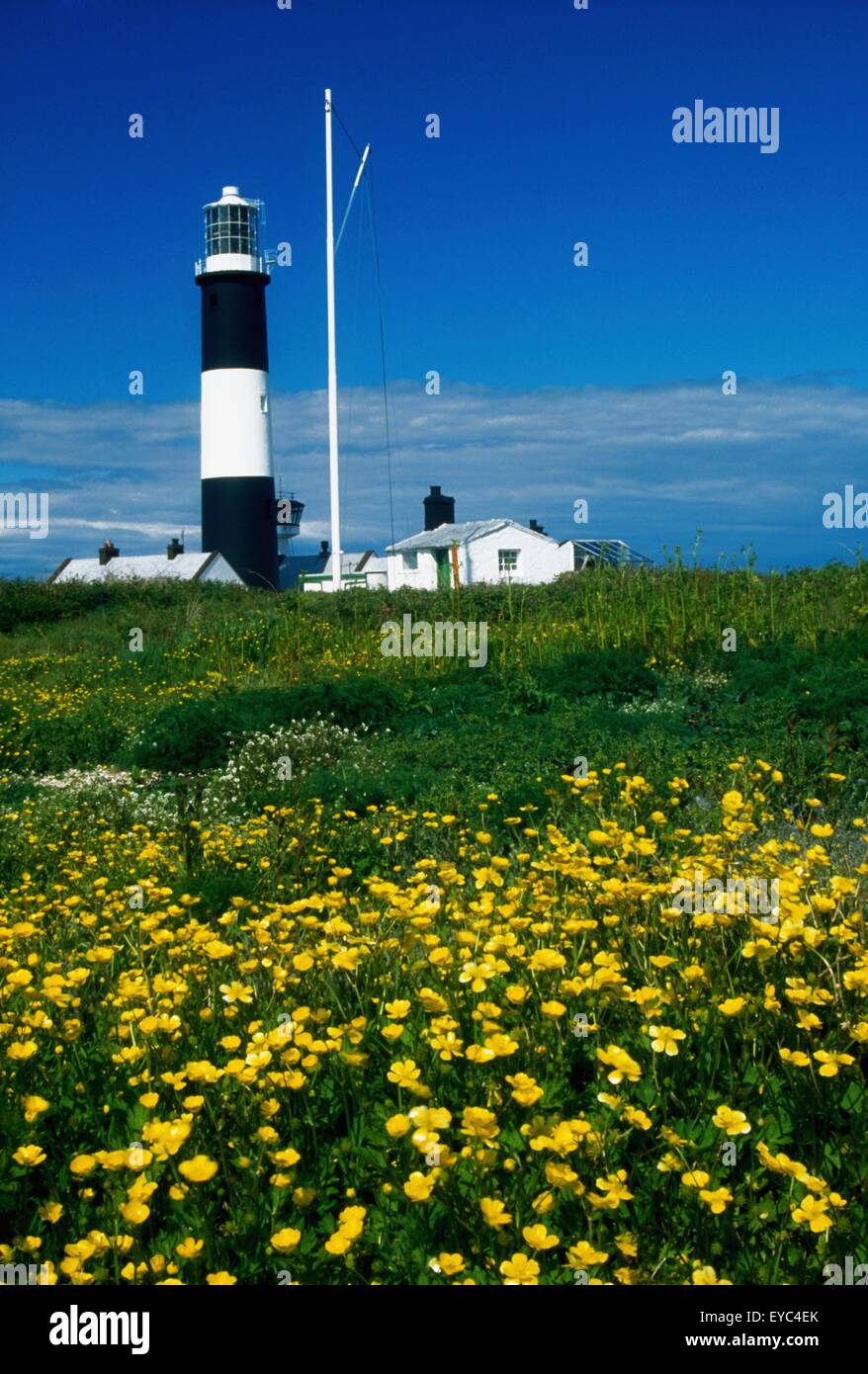 Mew Island Lighthouse High Resolution Stock Photography and Images - Alamy