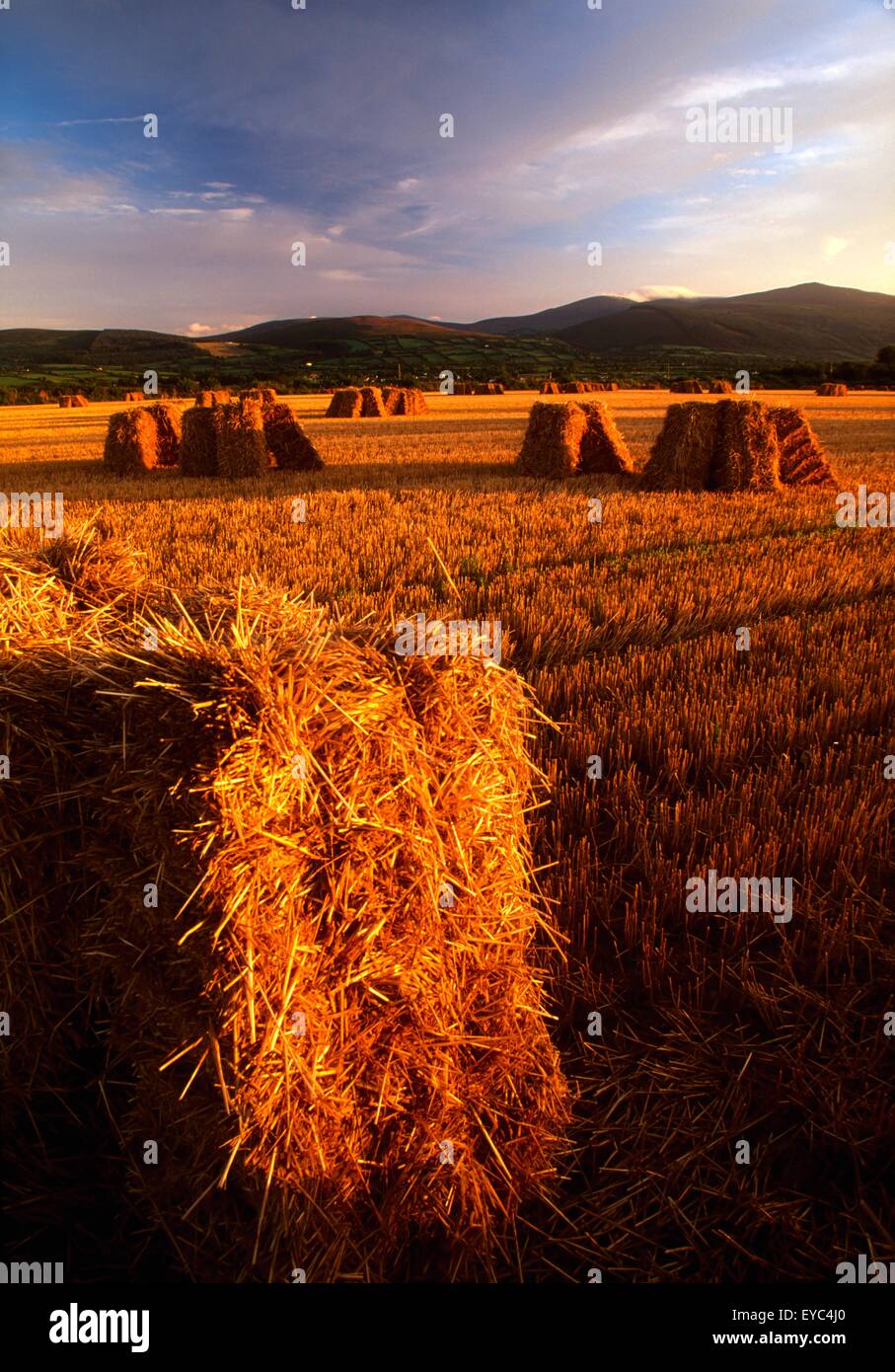 Newcastle county tipperary hi-res stock photography and images - Alamy