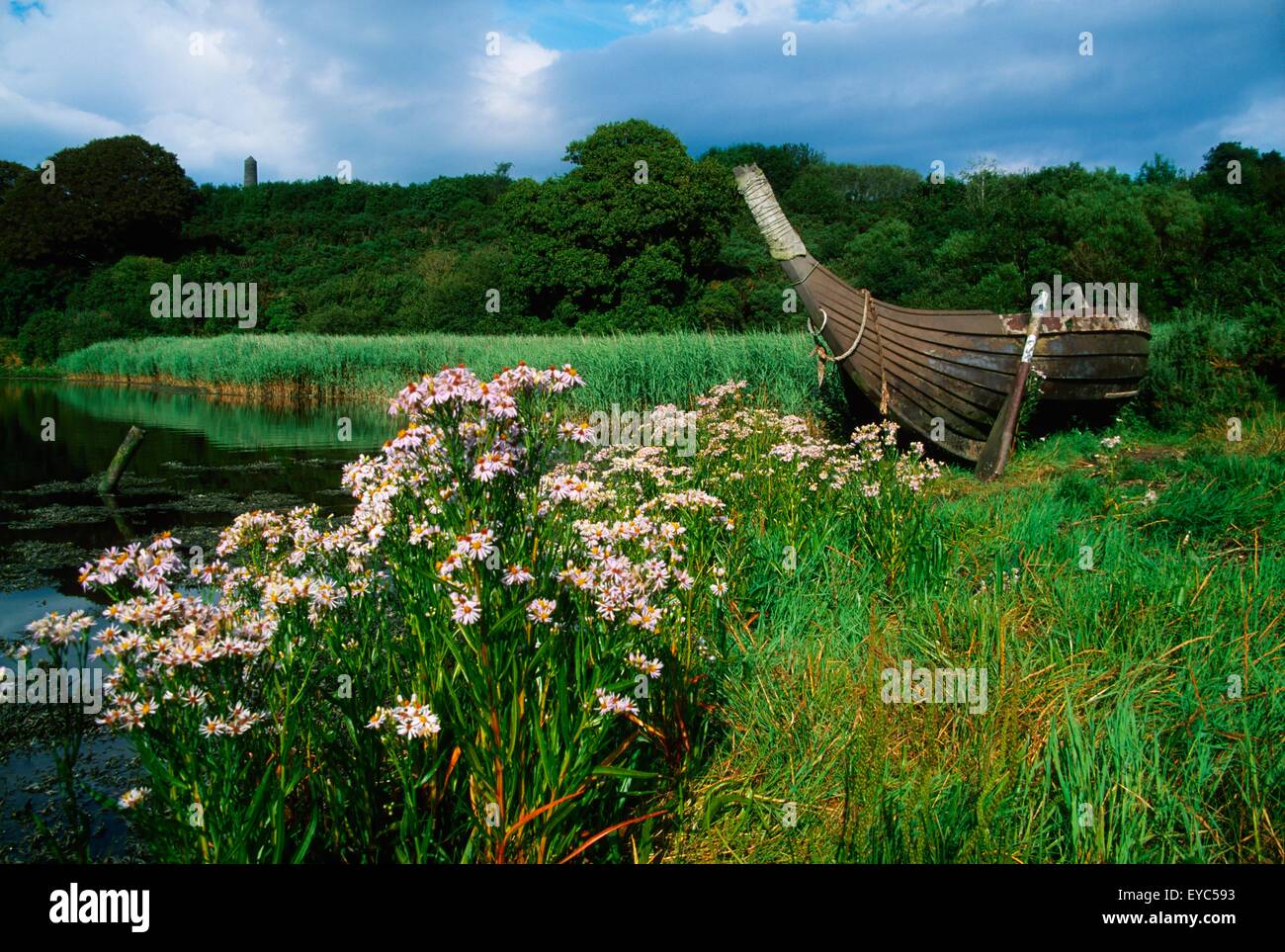 Wexford Irish Heritage Park High Resolution Stock Photography and ...
