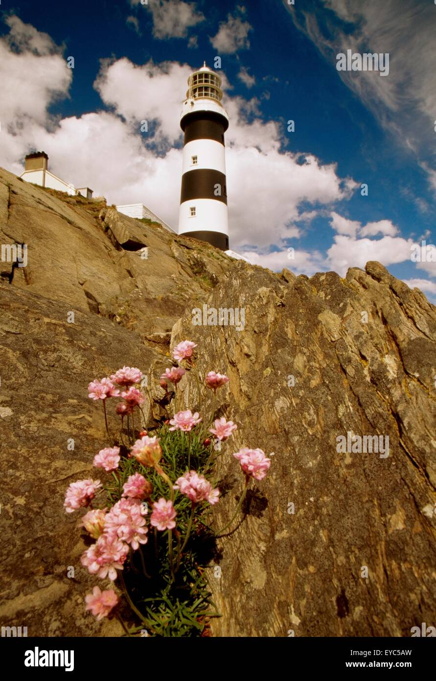 Old Head Kinsale Lighthouse High Resolution Stock Photography and ...
