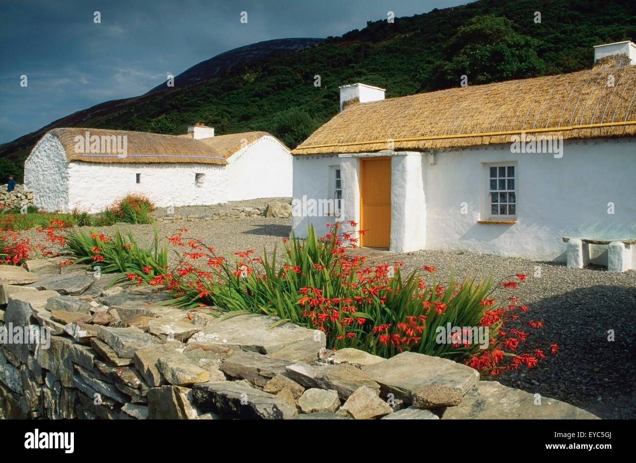 Mamore, Inishowen Peninsula, Donegal, Ireland; Thatched Roof Cottages ...