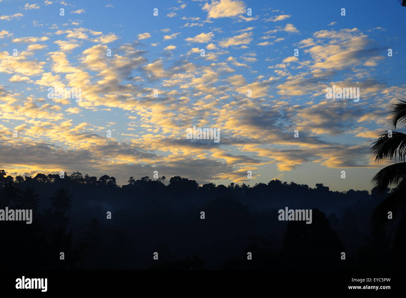 Morning Sky and Jungle, Kandy, Sri Lanka, Asia Stock Photo - Alamy