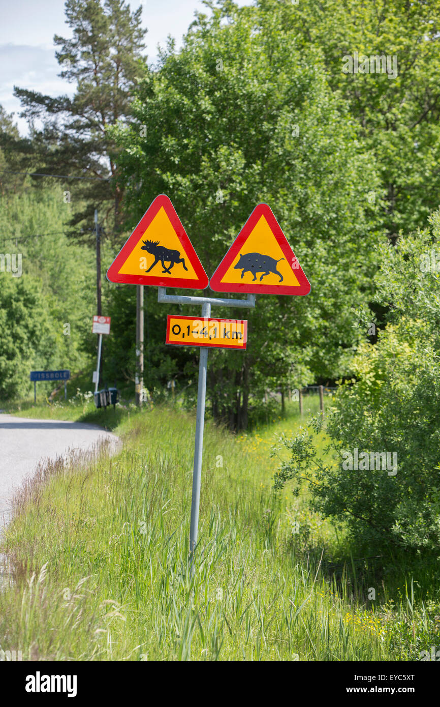 Wild boar warning sign hi-res stock photography and images - Alamy