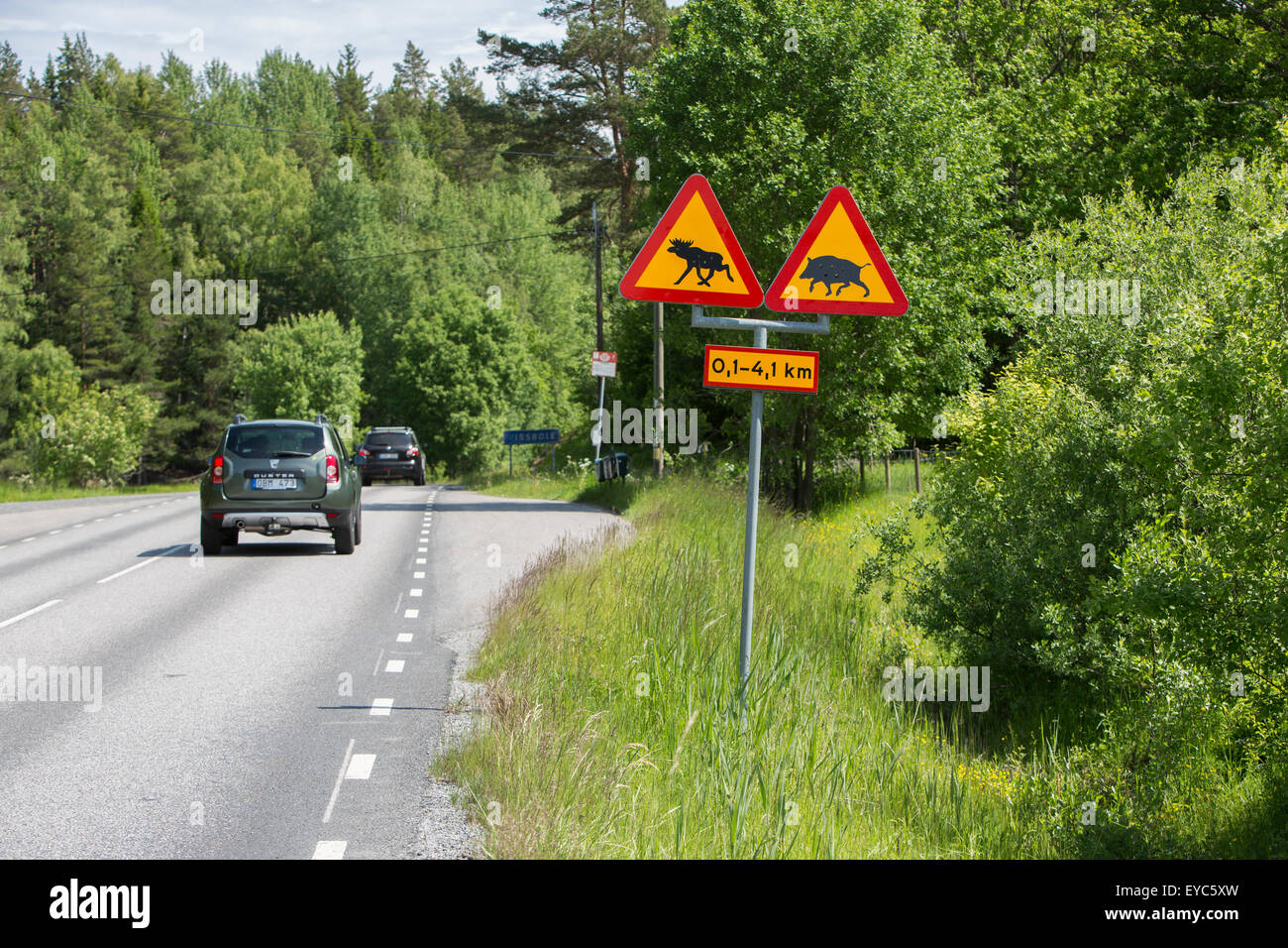 Moose and car hi-res stock photography and images - Alamy