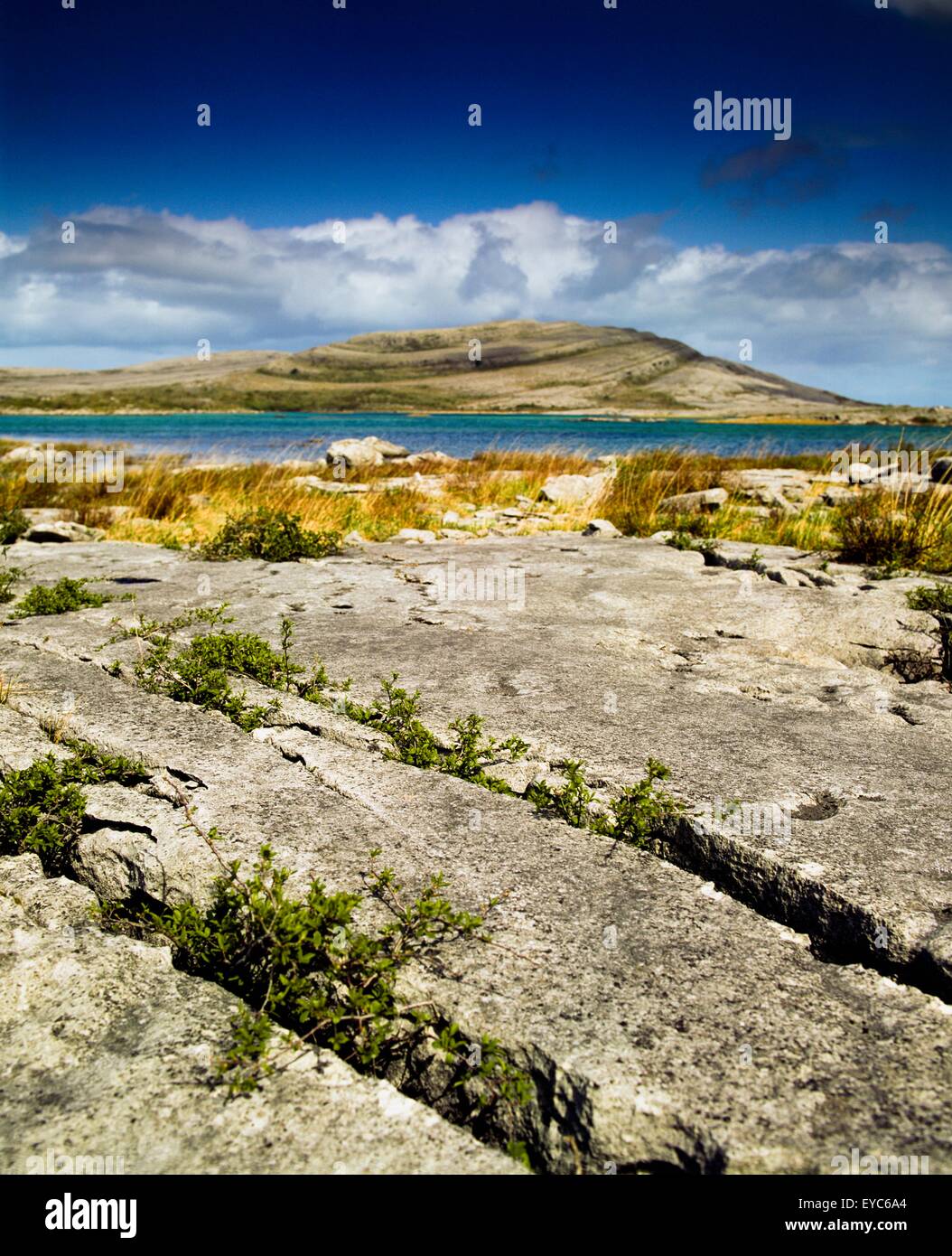 Mullaghmore, The Burren, County Clare, Ireland; Limestone Landscape ...