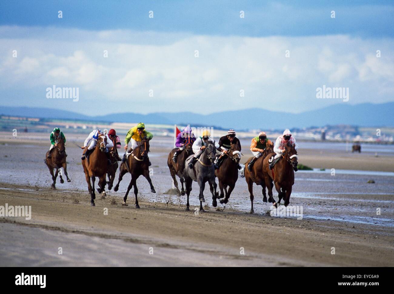 Horse Racing, Beach Racing At Laytown, Co Meath Stock Photo - Alamy