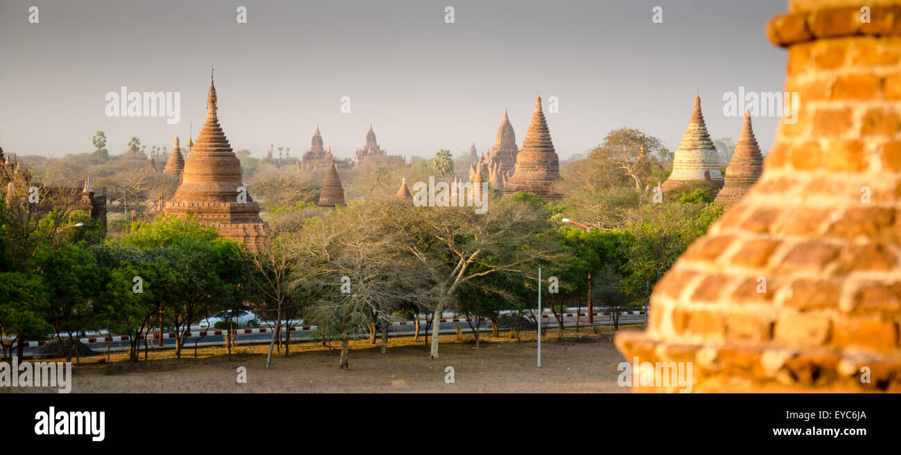 Evening Light with the Pagodas of Bagan, Myanmar Stock Photo - Alamy