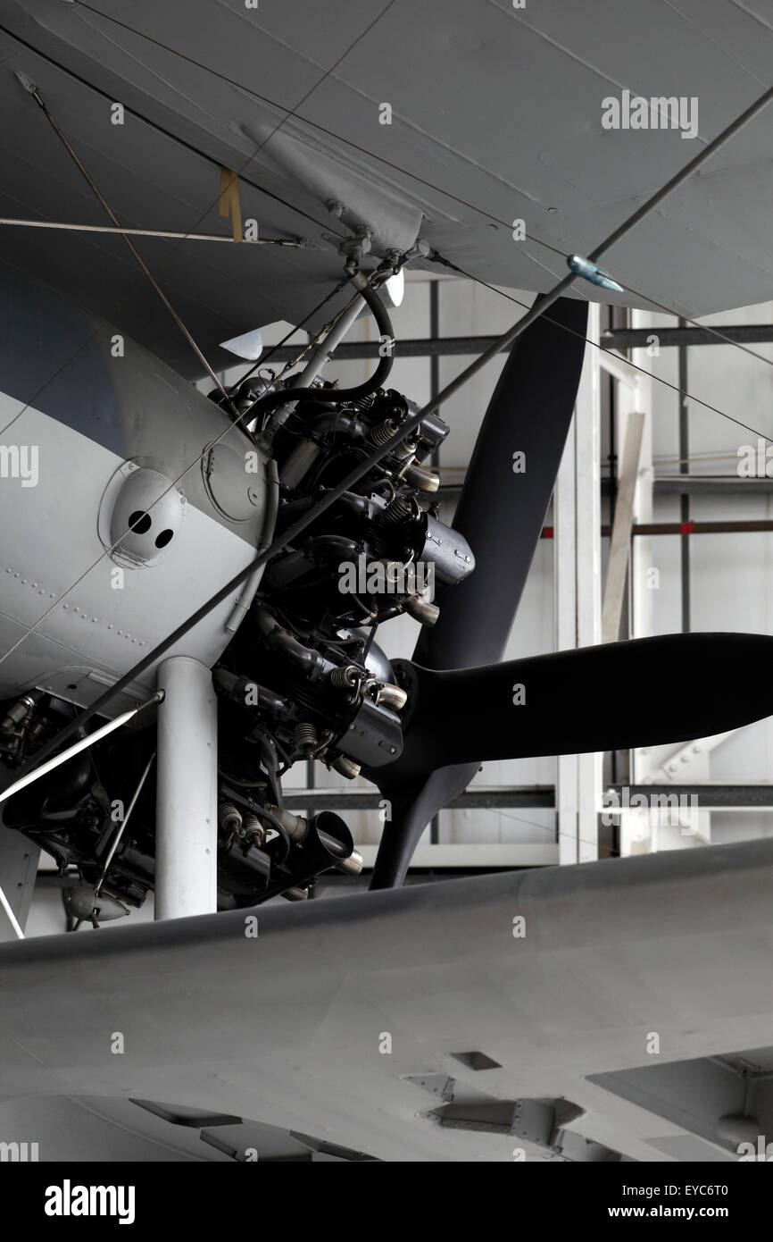 Seagull v engine hi-res stock photography and images - Alamy