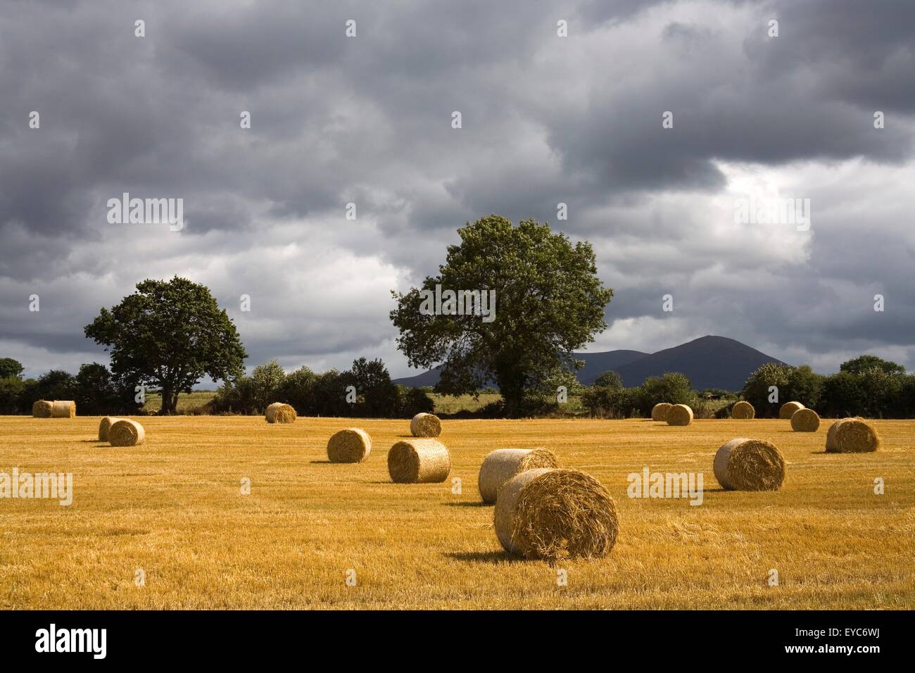 Clogheen county tipperary ireland hi-res stock photography and images ...