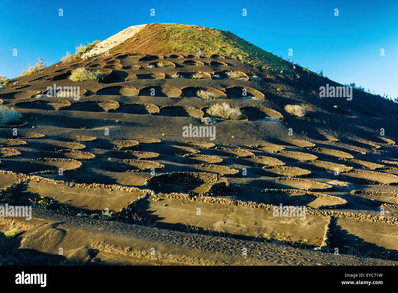 Lapilli hi-res stock photography and images - Alamy