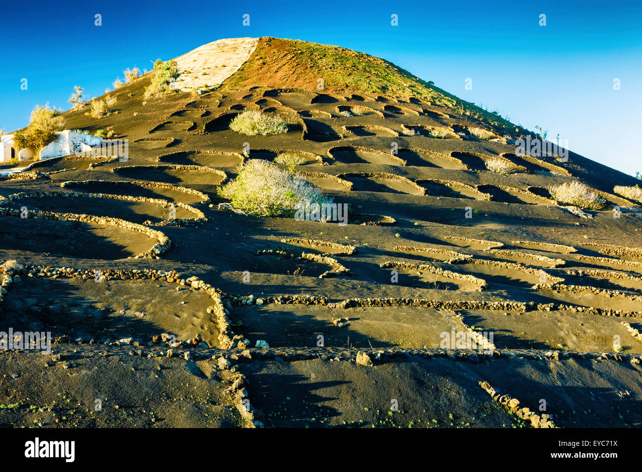 Lapilli hi-res stock photography and images - Alamy