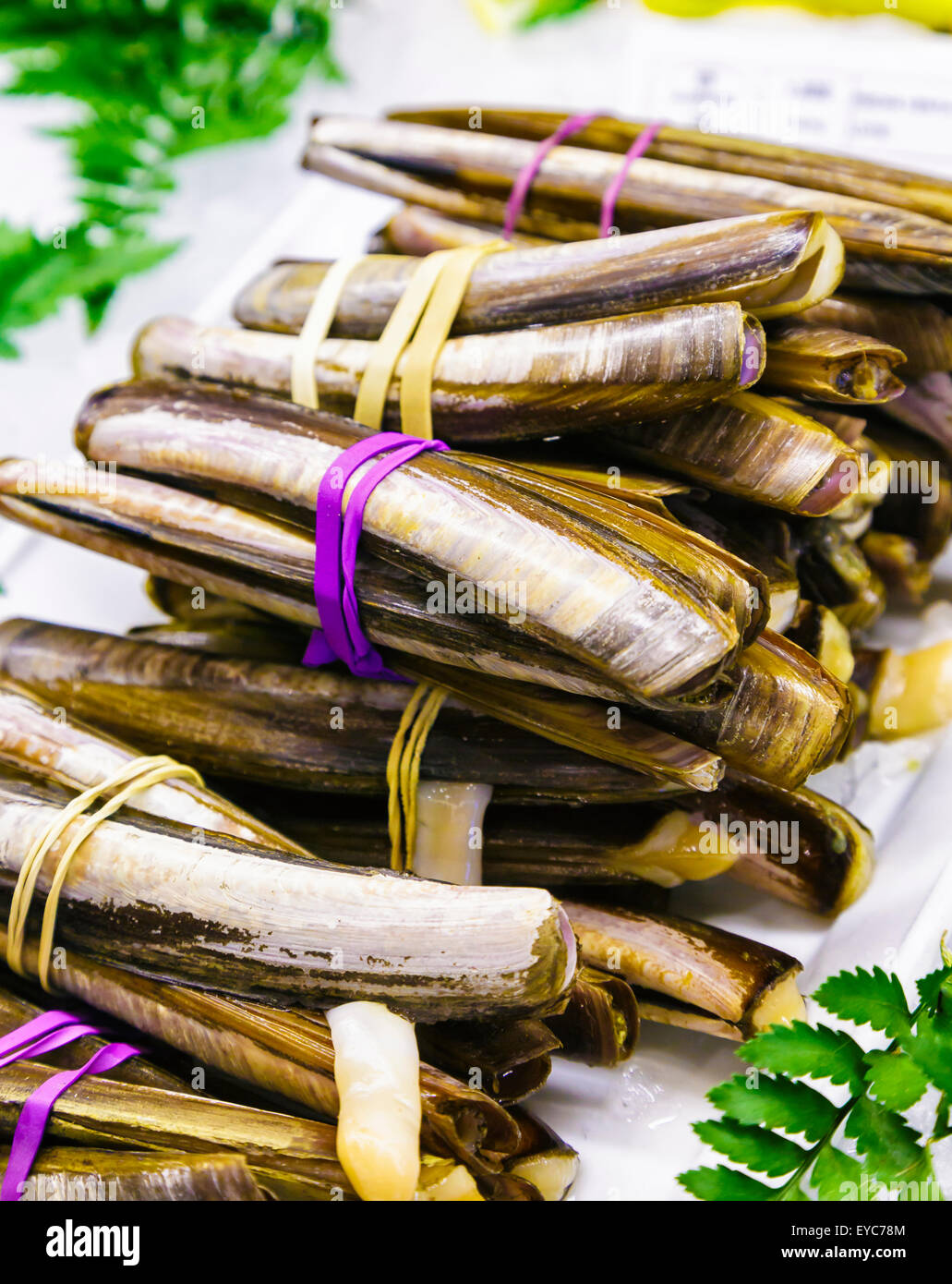 Razor shells in a restaurant Stock Photo - Alamy
