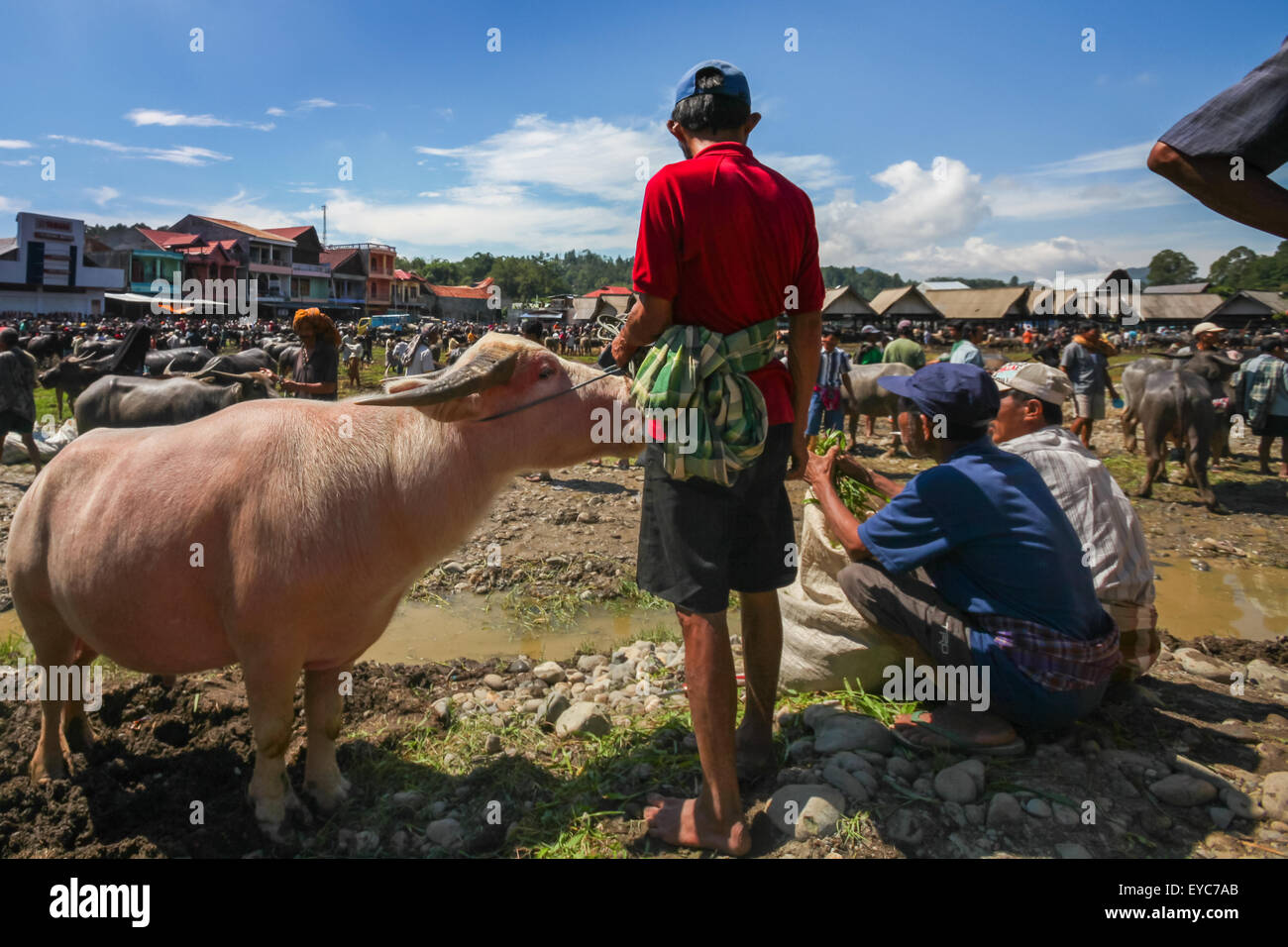 Pale skinned hi-res stock photography and images - Alamy