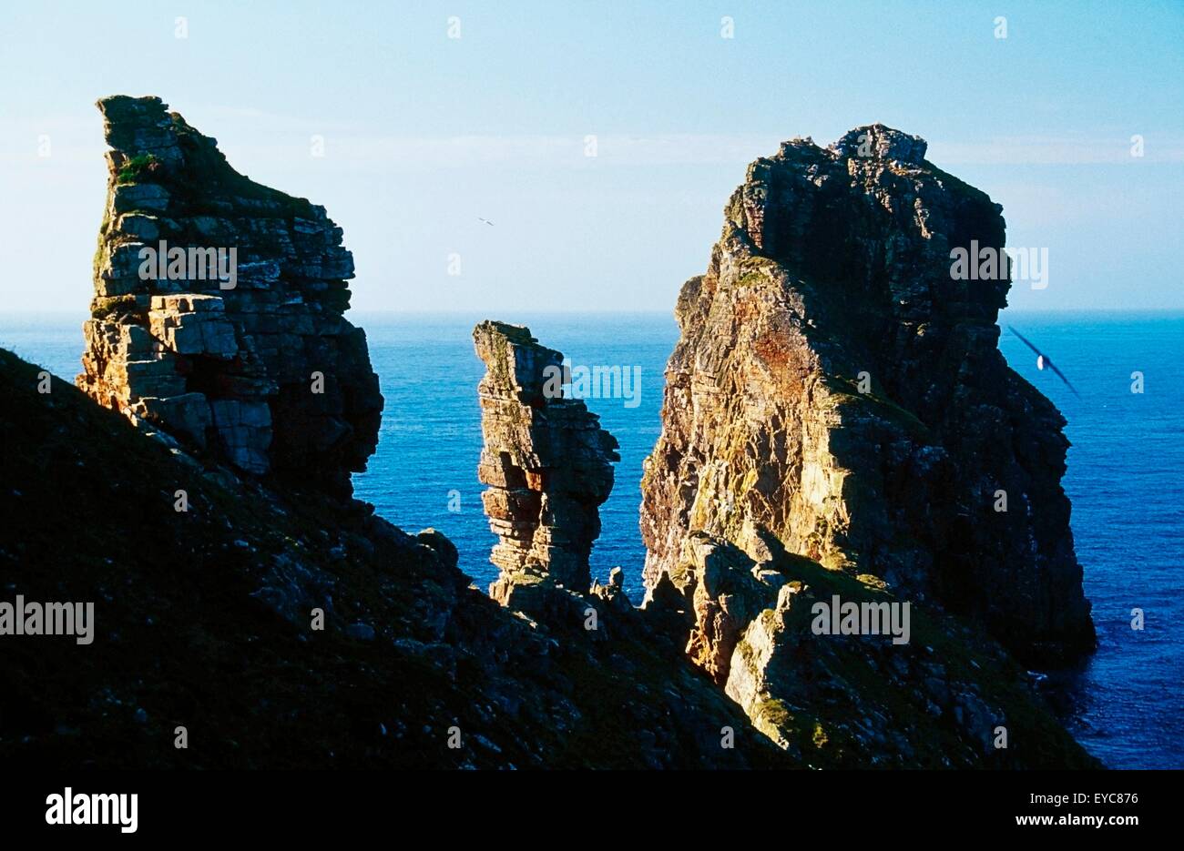 Rock Pinnacles Of The Anvil, Tory Island, County Donegal, Ireland Stock ...