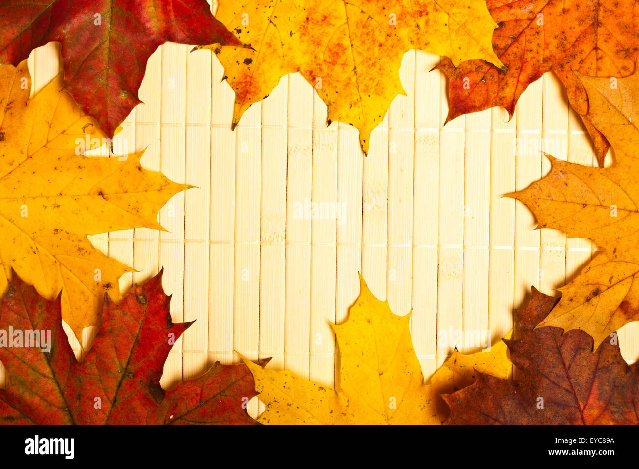 Leaves composition hi-res stock photography and images - Alamy