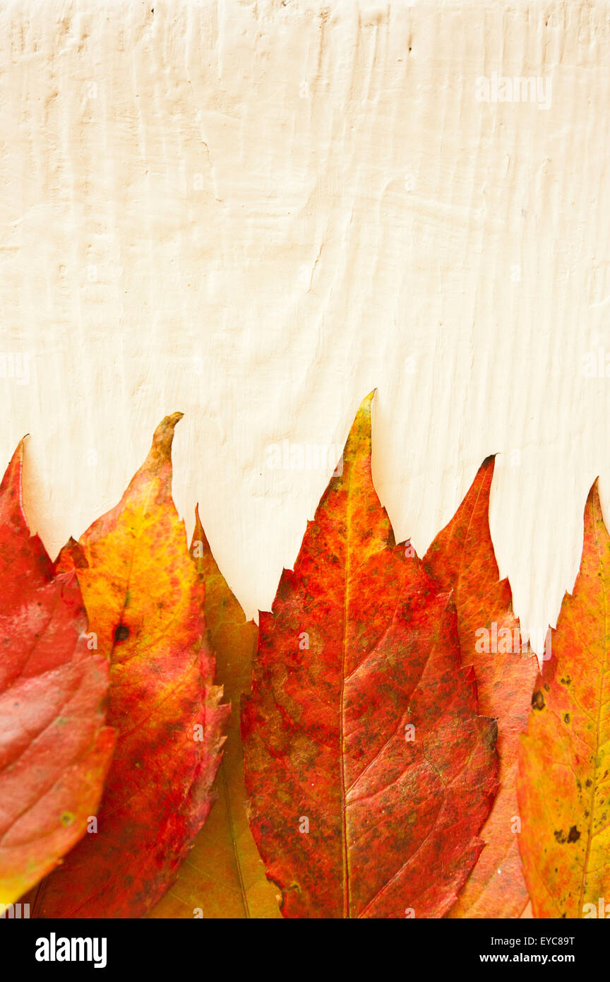 fallen autumn leaves composition Stock Photo - Alamy