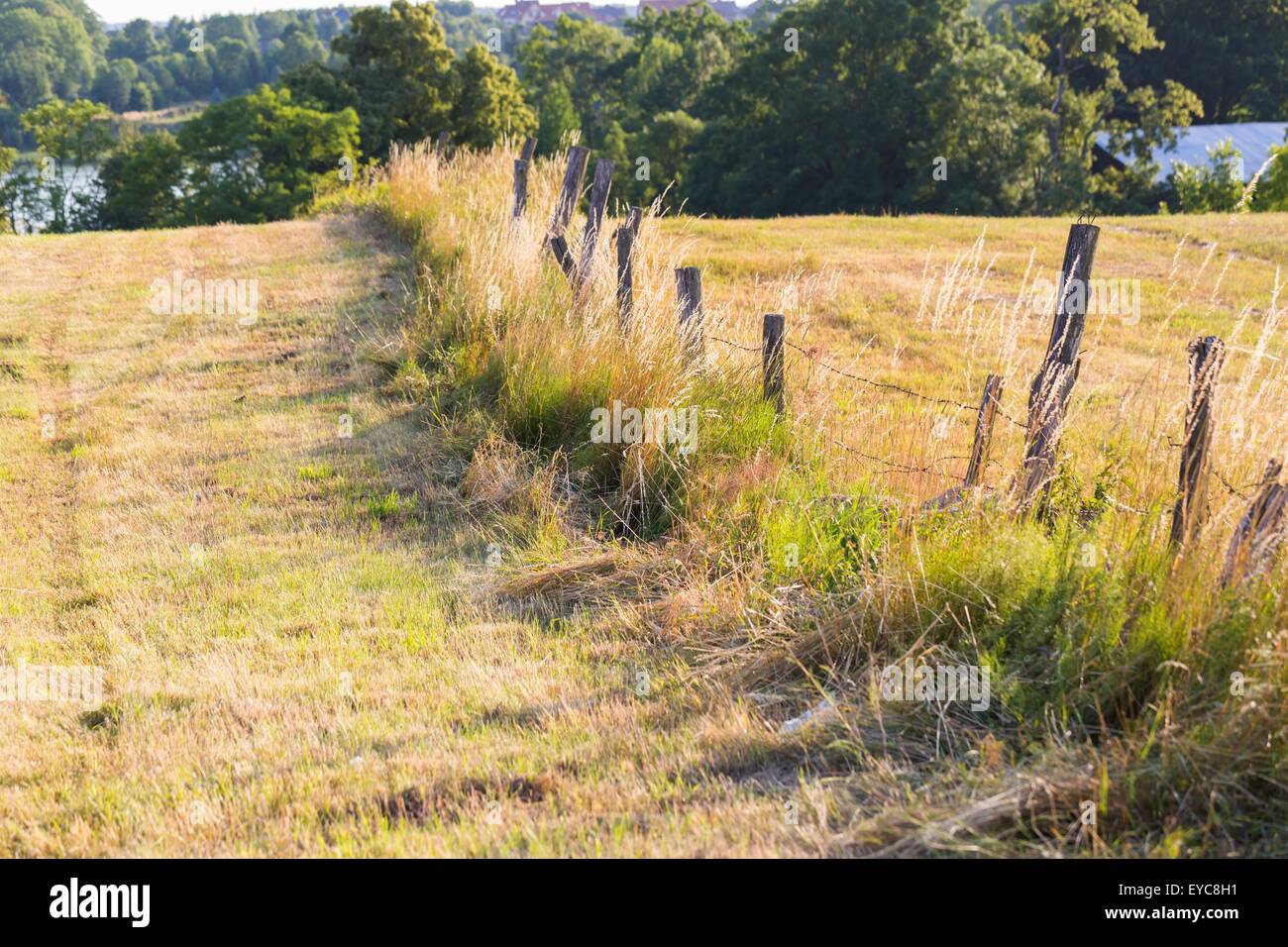 Close up of old destroyed fence with barbed wire on field. Beautiful ...