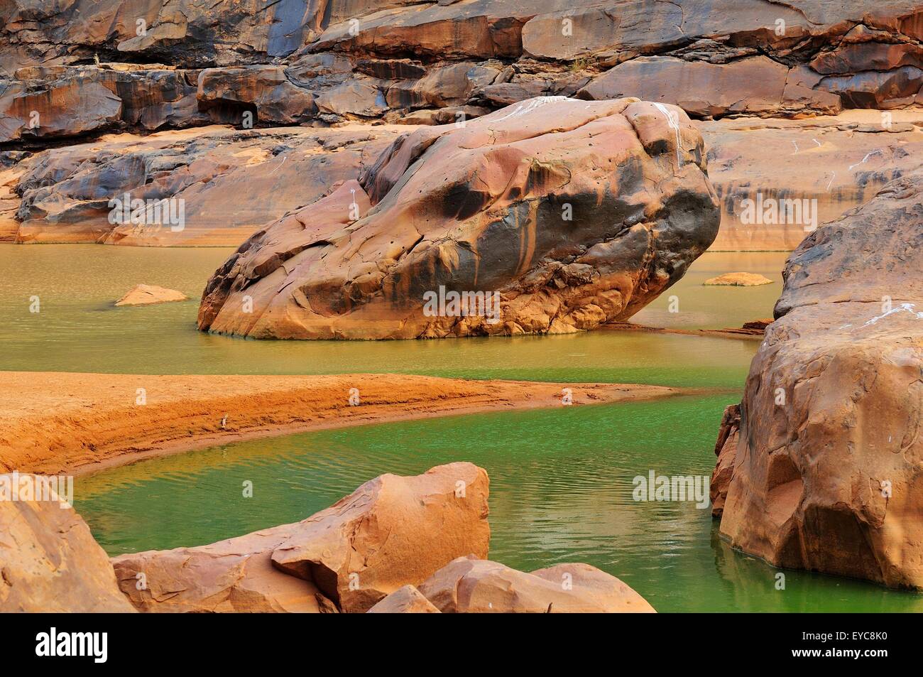 River valley with year-round water supplies, Guelta of Matmata, Tagant ...