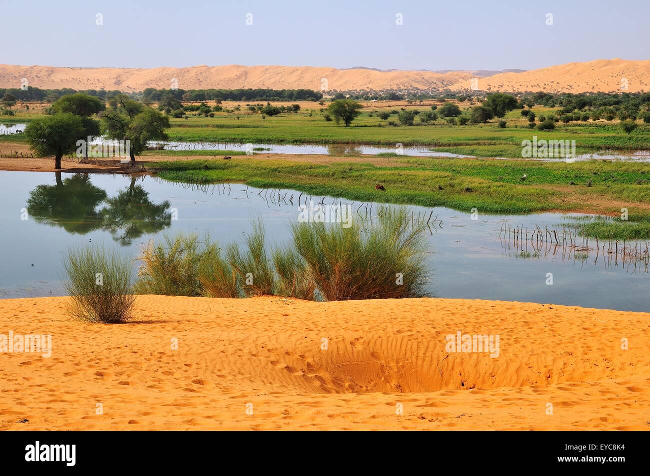 Tagant region hi-res stock photography and images - Alamy