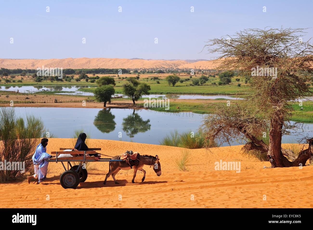 Tagant region hi-res stock photography and images - Alamy