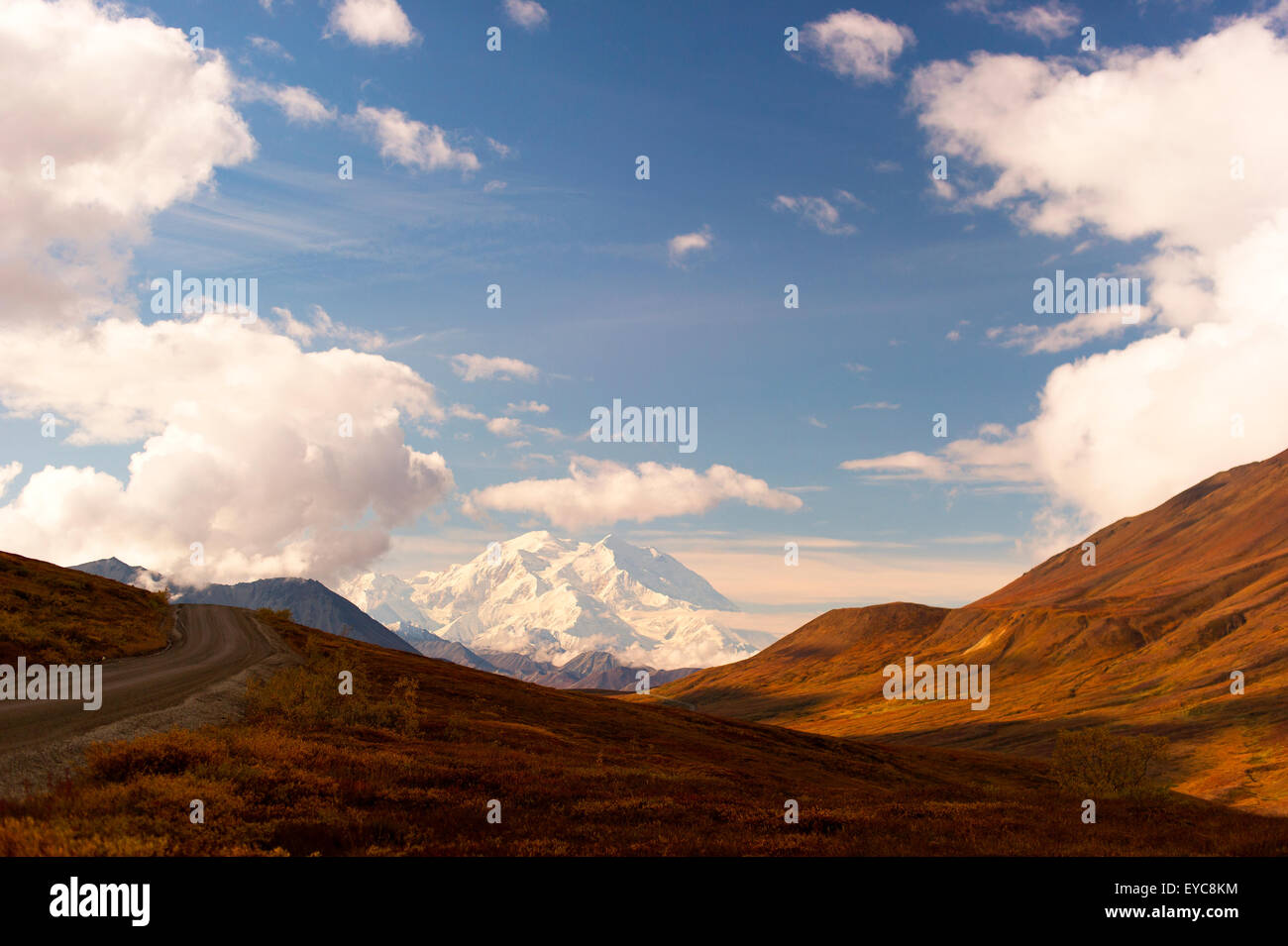 Mount McKinley in autumn, Denali National Park, Healy, Alaska Stock ...