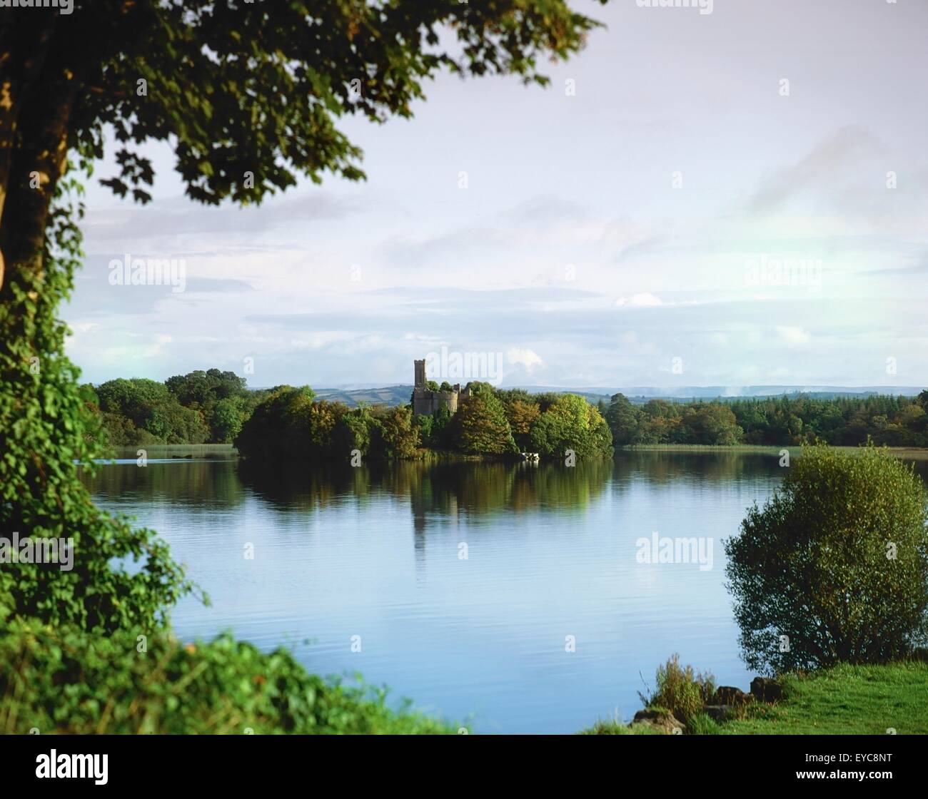 Roscommon castle hi-res stock photography and images - Alamy
