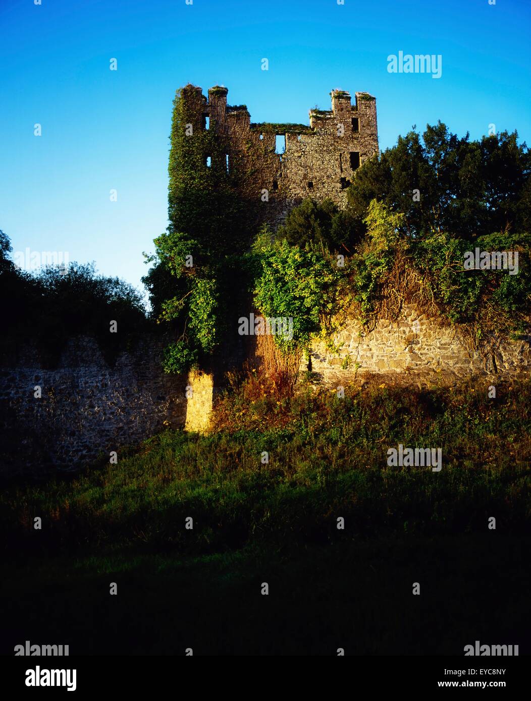 Co Limerick, Desmond Castle, Ardare Stock Photo - Alamy