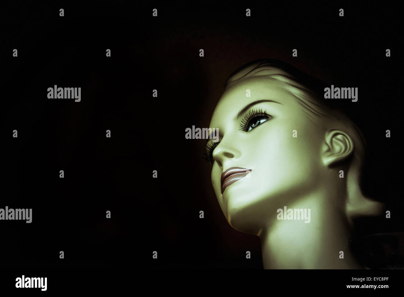 portrait of a female mannequin Stock Photo - Alamy