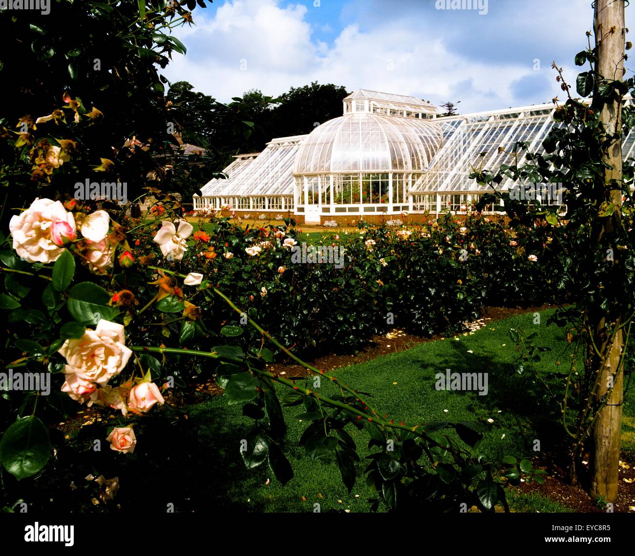 Ardgillan Castle, Co Dublin, Ireland; Rose Garden And Conservatory ...