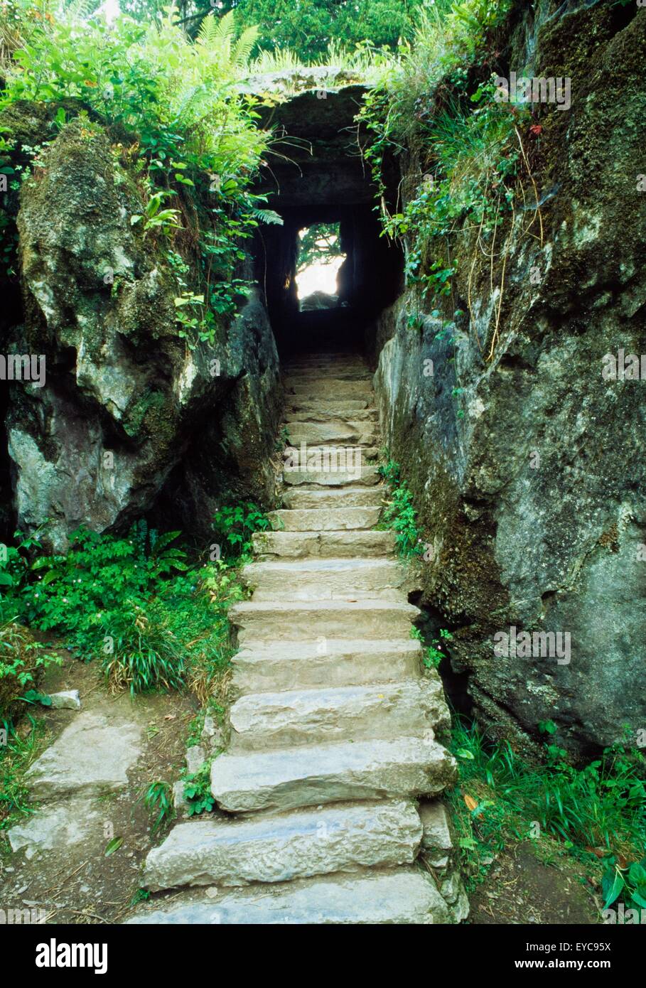 Wishing steps at a 19th century great house hi-res stock photography ...