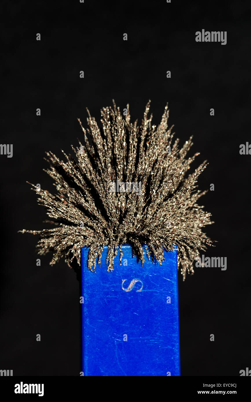 Attraction and repulsion iron metal particles align up along the ...