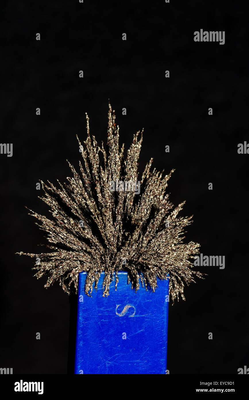 Attraction and repulsion iron metal particles align up along the ...