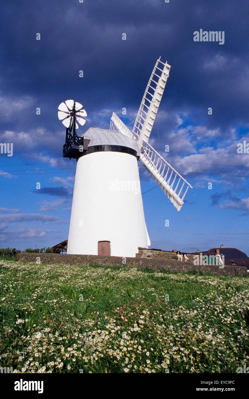 Windmill at ballycopeland hi-res stock photography and images - Alamy