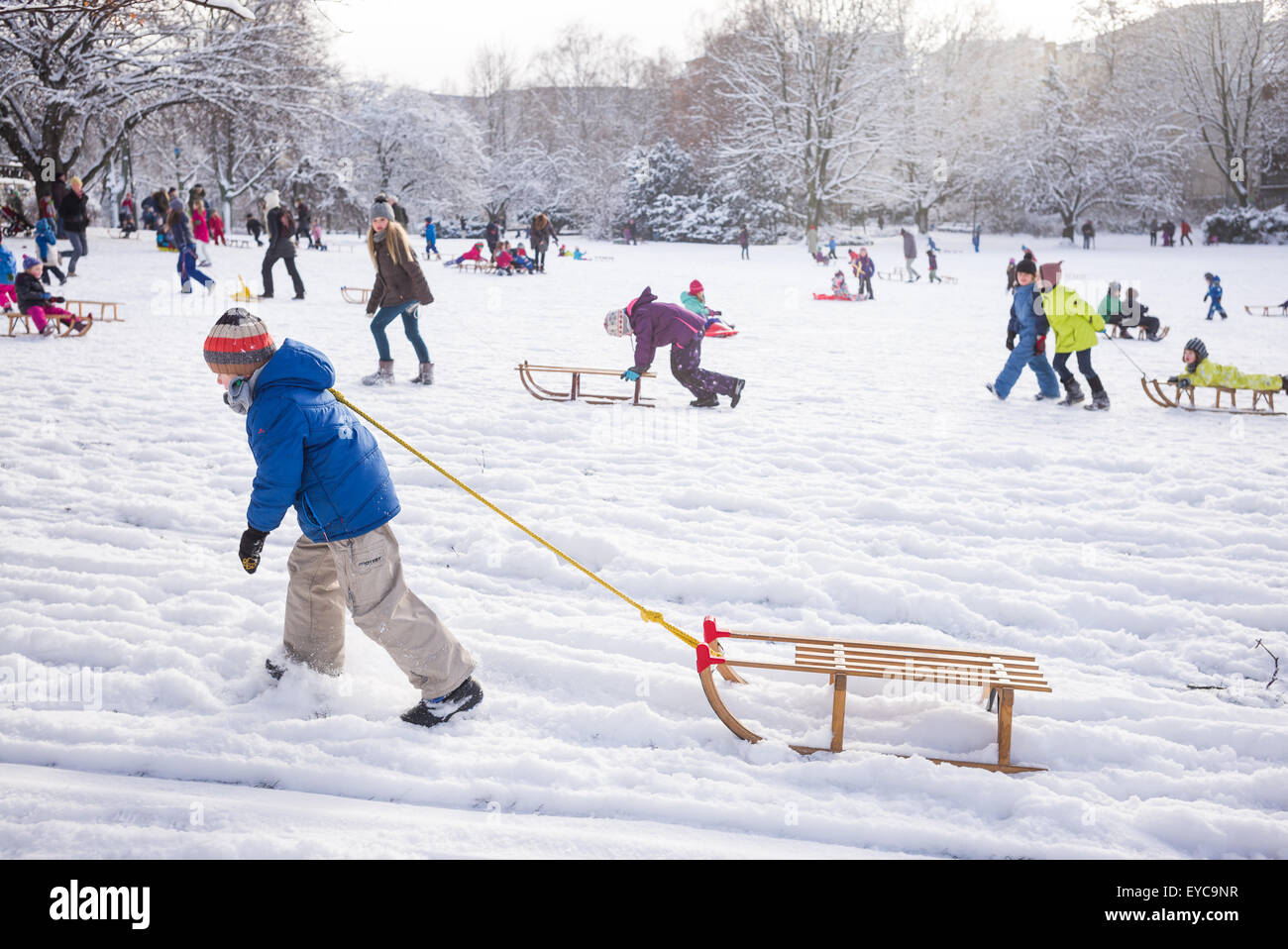 Berlin, Germany, sledding on the Weinberg Park Stock Photo - Alamy