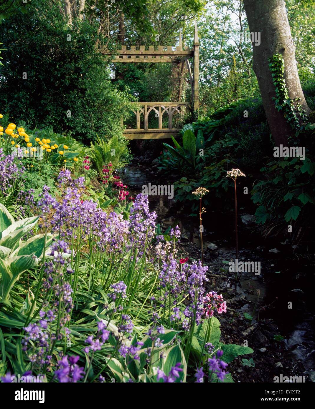 Butterstream, Co Meath, Ireland; View Of A Garden In Spring Stock Photo ...