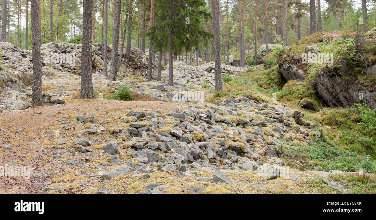 Remnants at a millstone place among rocks, stones, moss and lichen in ...