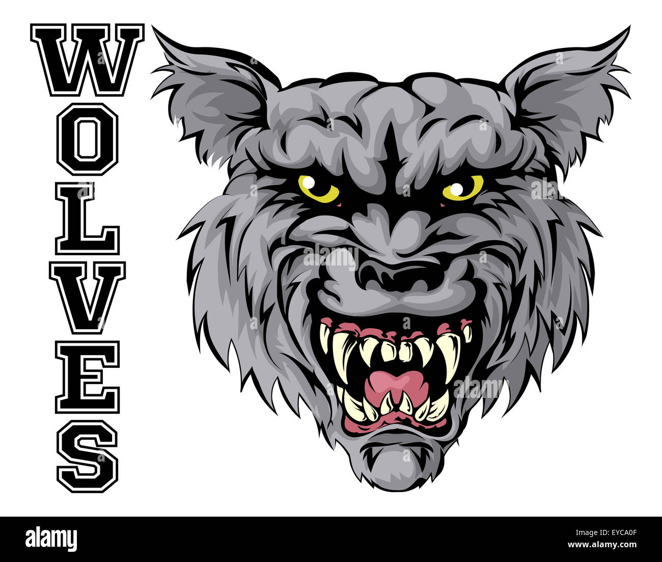 An illustration of a Wolf sports mascot head with the word Wolves Stock ...