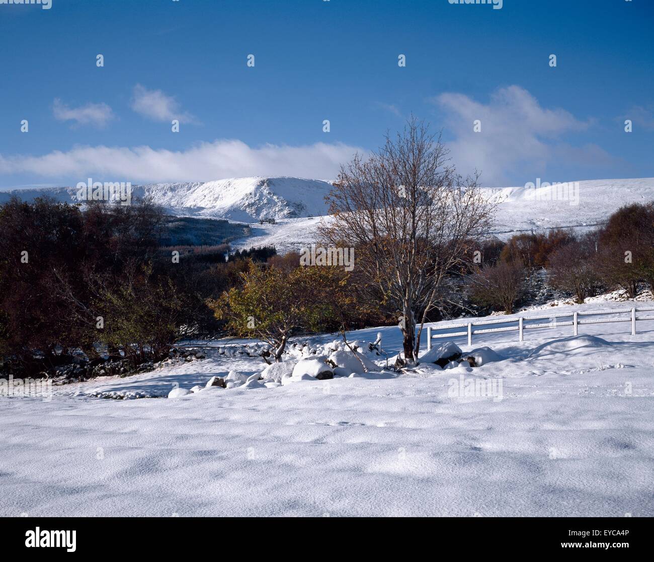 Glencree Stock Photos & Glencree Stock Images - Alamy