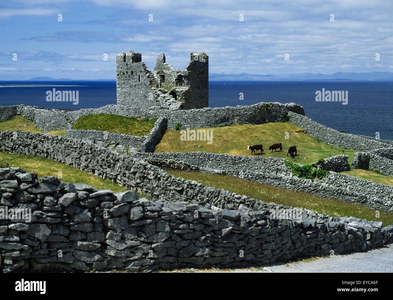 Inisheer, Aran Islands, Co Galway, Ireland; O'brien Castle Stock Photo ...