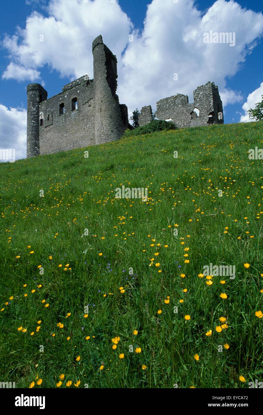 Dunmoe Castle, Co Meath, Ireland; Castle And Home Of The D'arcy Family ...