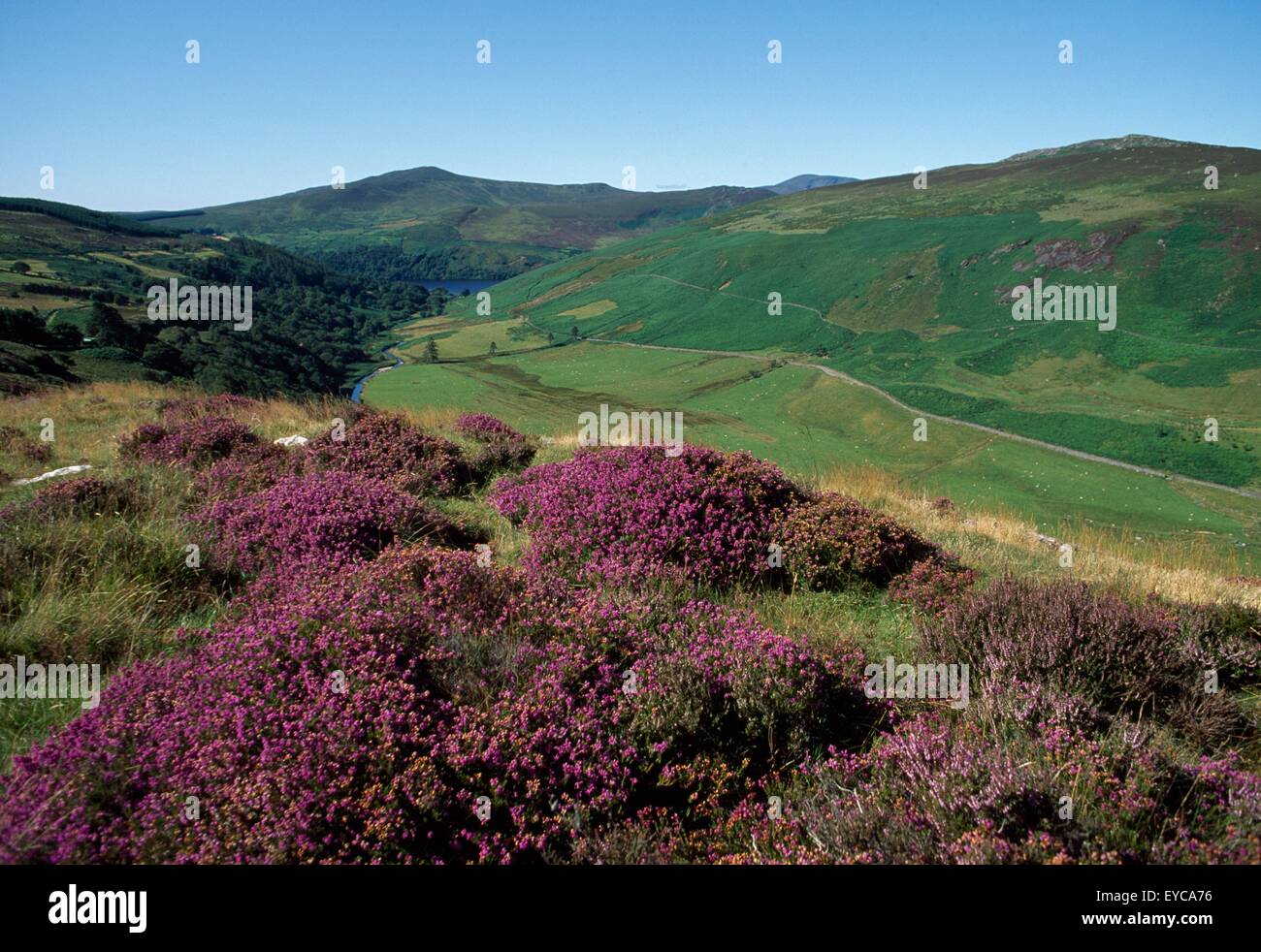 The Wicklow Way, Co Wicklow, Ireland; Valley Near Luggala Stock Photo ...