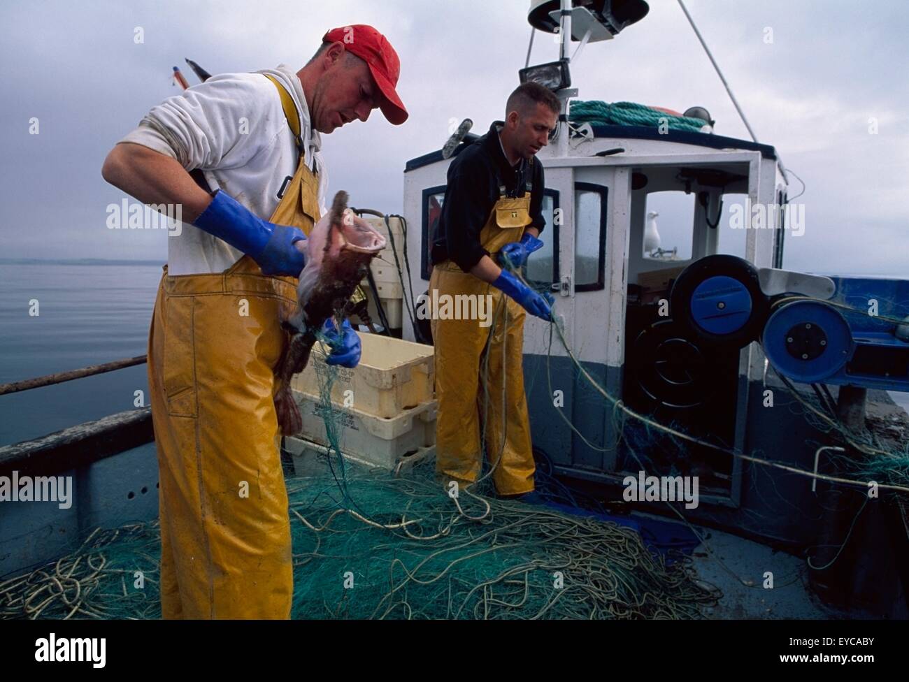 Co Waterford, Ireland; Fishermen Catching Monkfish Stock Photo - Alamy