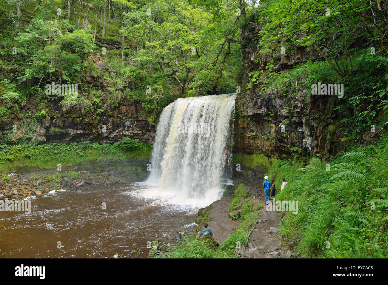 Afon Hepste & Sgwd yr Eira Waterfall Brecon Beacons, Wales Stock Photo - Alamy