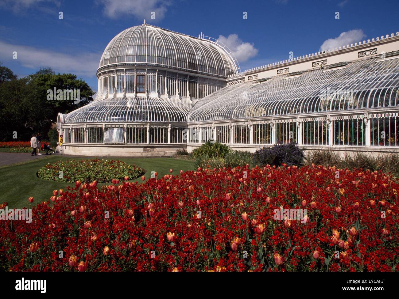 Belfast Botanic Gardens, Belfast, Co Antrim, Ireland; Botanic Gardens ...