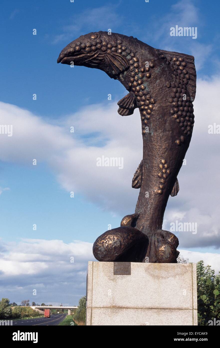 At a fish hi-res stock photography and images - Alamy